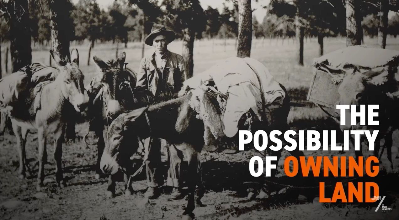 40 Acres And A Mule 40 Acres And A Mule
